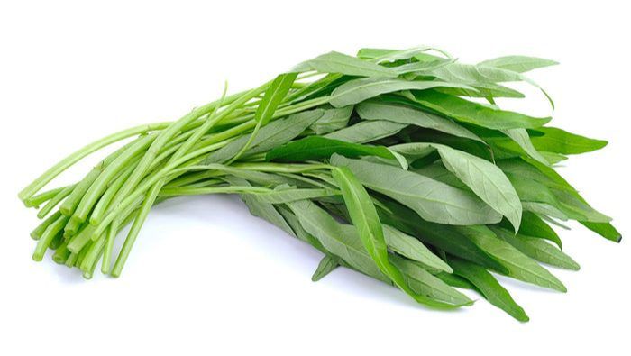 Home | Media Masters